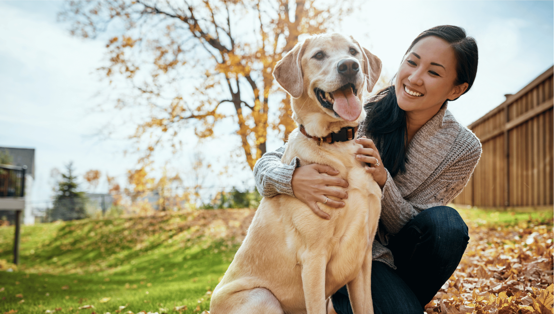 Dime Box Animal Clinic Gallery | Vet Clinic In Dime Box, TX 77853